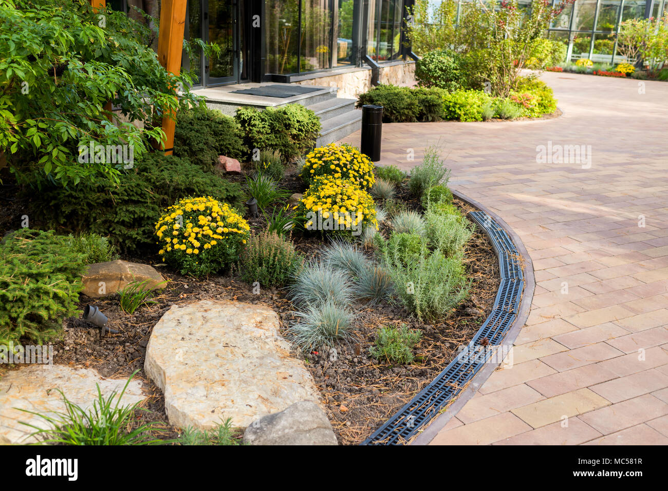bushes and flowers in landscape design Stock Photo - Alamy