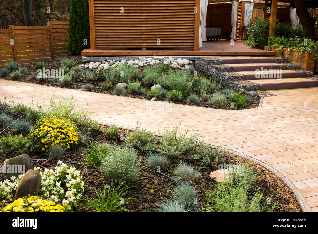 stone path with decorative bushes Stock Photo - Alamy
