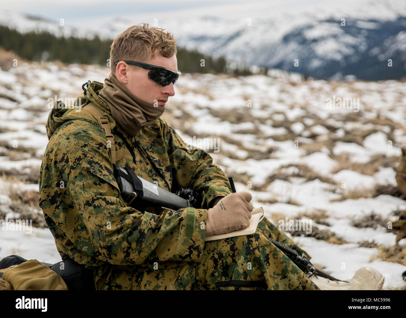 U.S. Marine Corps Pvt. Matthew M. Stephens, a low altitude air defense ...