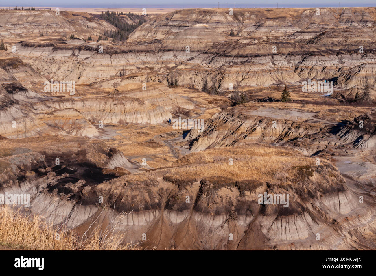 Canadian Badlands in southern Alberta, Canada. Millions of years of ...