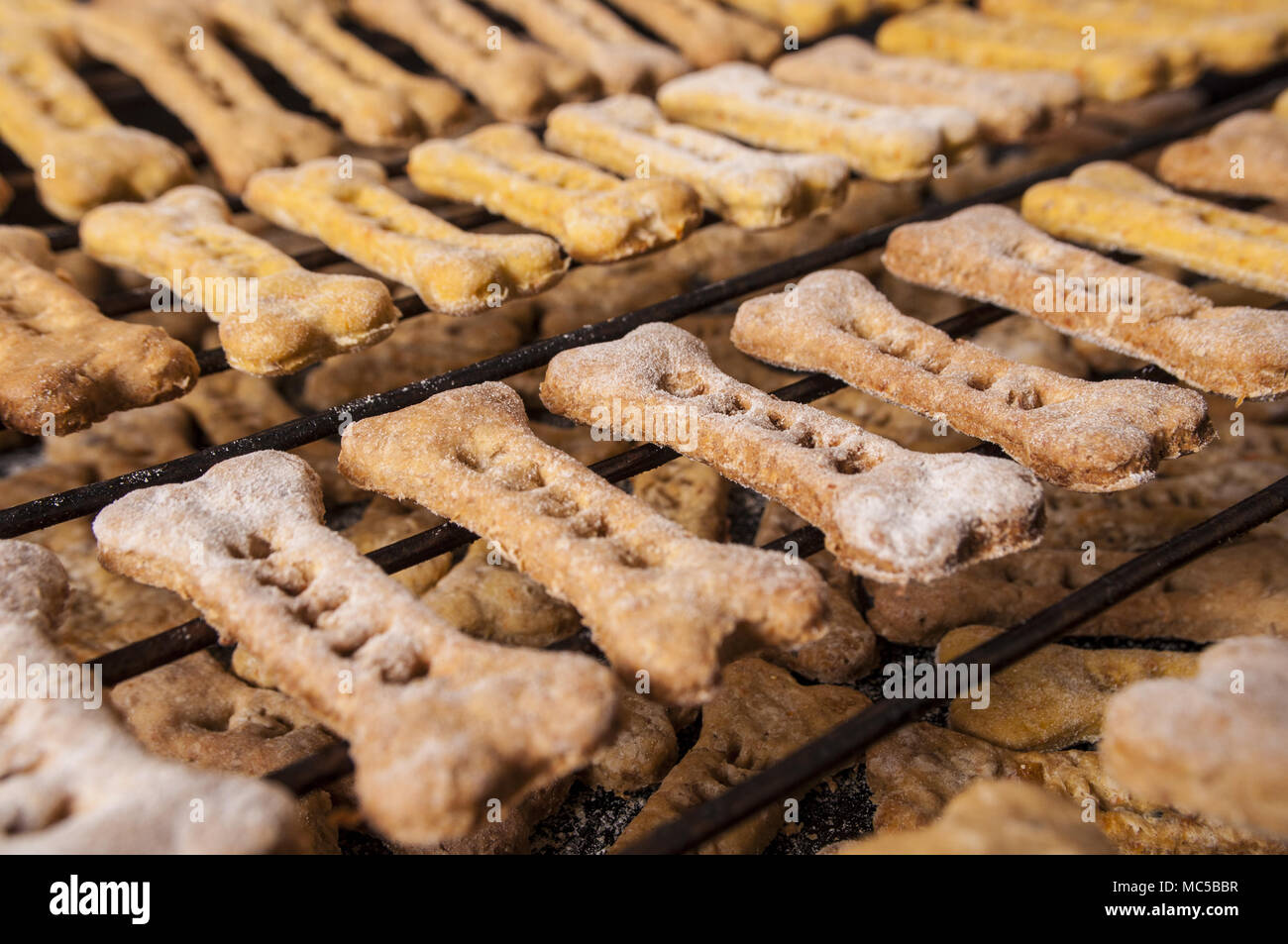 Bone cookies hi-res stock photography and images - Alamy