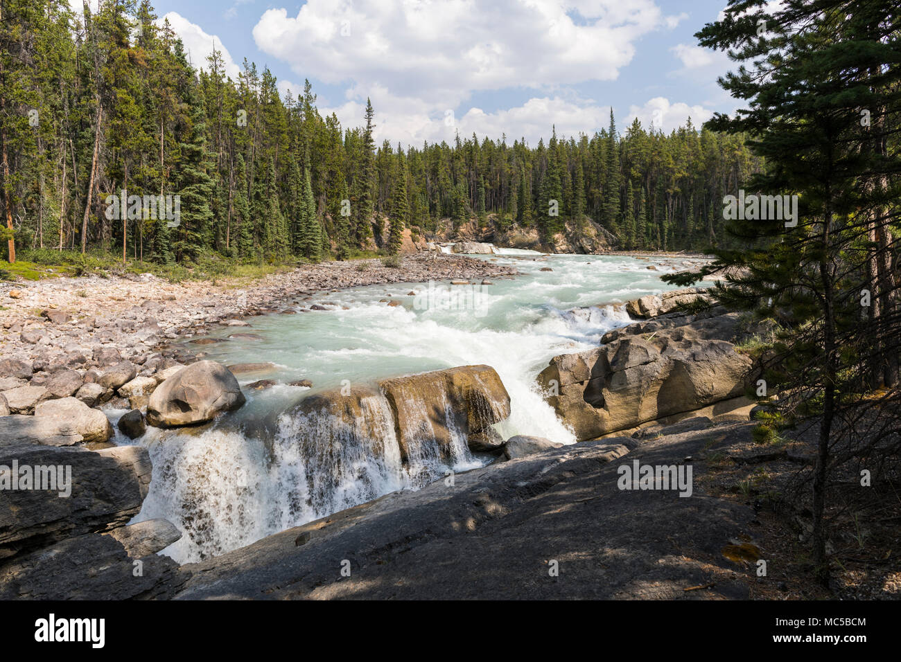 Sunwapta River Jasper National Park Stock Photos & Sunwapta River ...