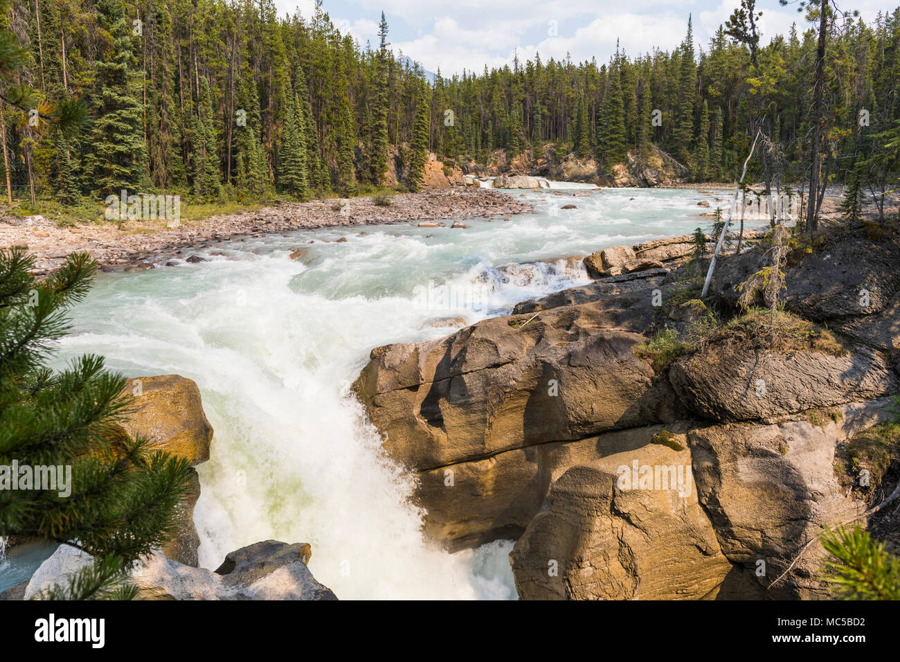 Sunwapta River Jasper National Park Stock Photos & Sunwapta River ...