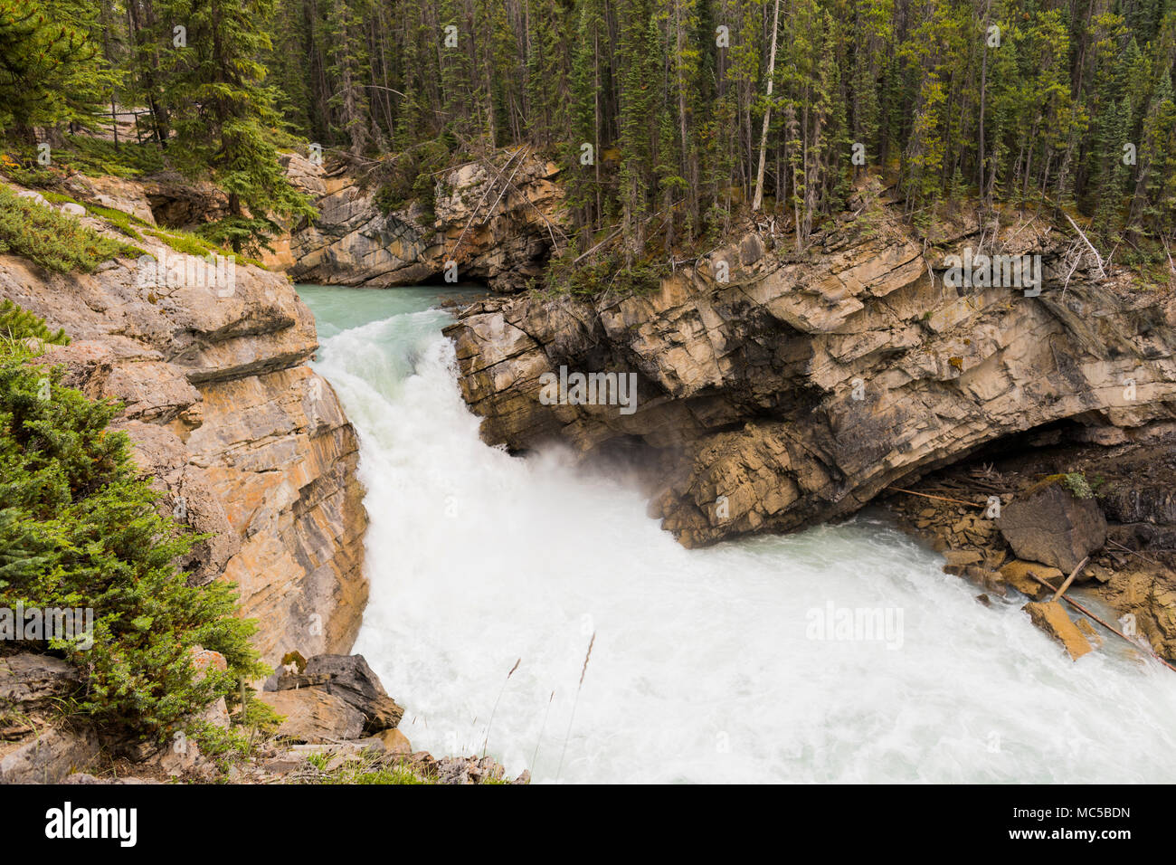 Sunwapta waterfall hi-res stock photography and images - Alamy
