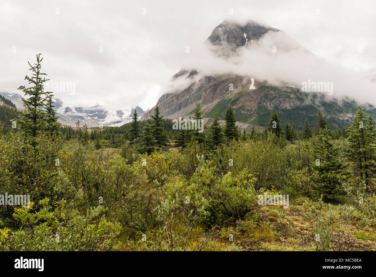 Rearguard Provincial Park High Resolution Stock Photography and Images ...