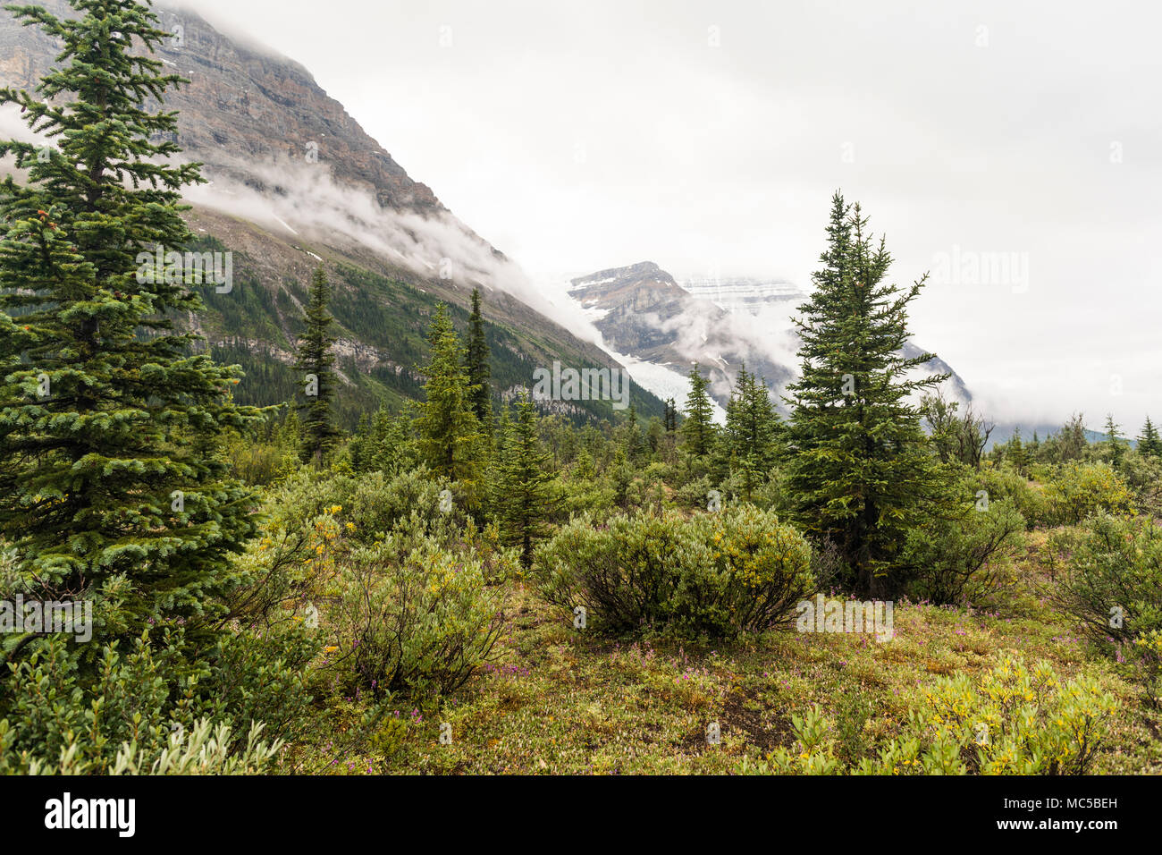 Rearguard provincial park hi-res stock photography and images - Alamy
