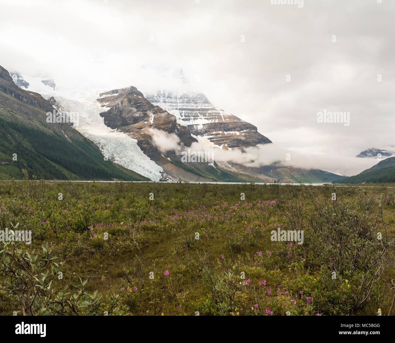 Mount Robson and Berg Glacier, Berg Lake Trail, Mount Robson Provincial ...