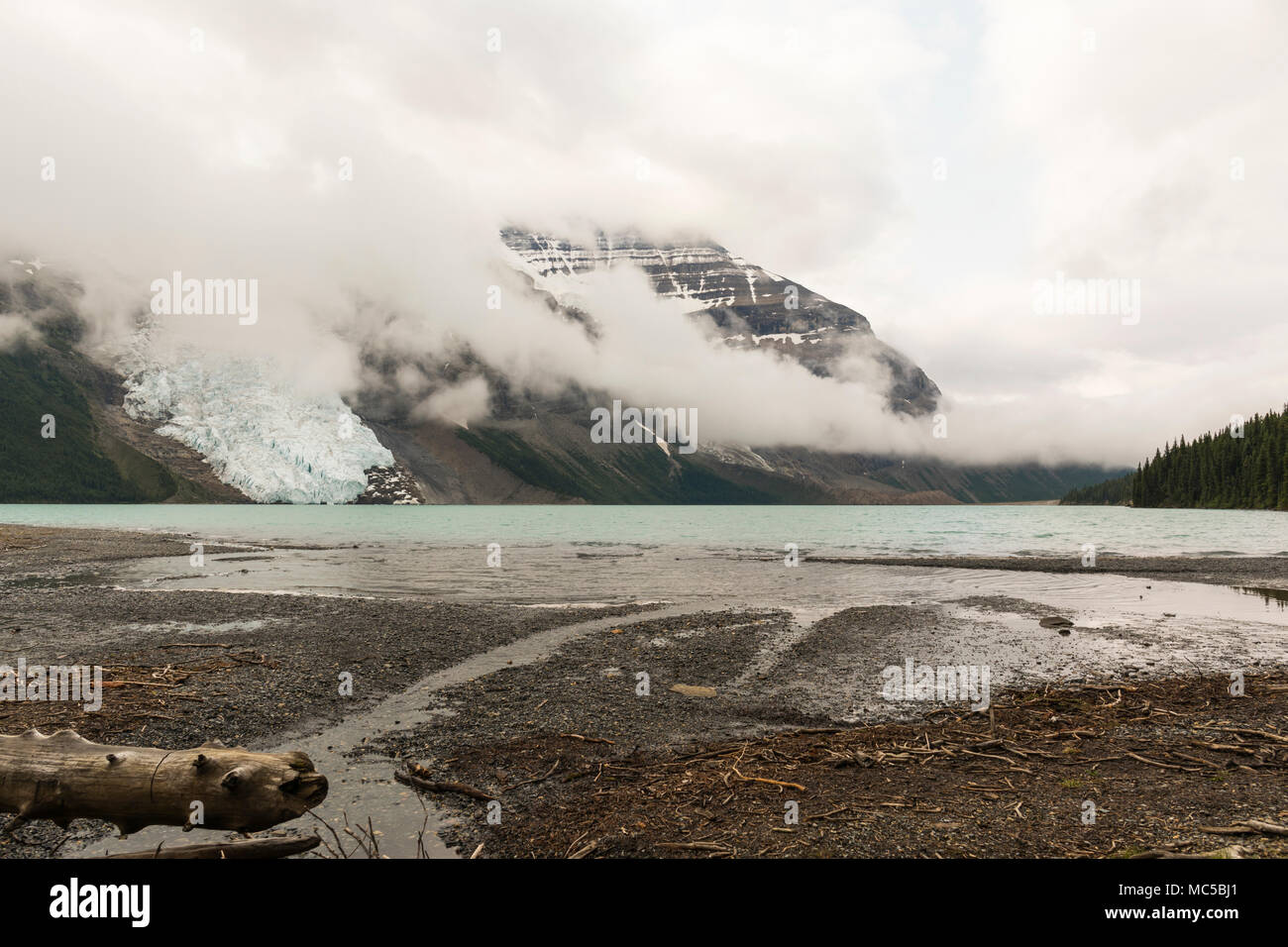 Glacier provincial park hi-res stock photography and images - Alamy