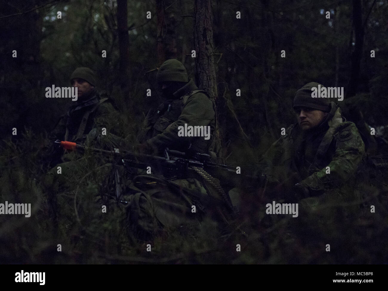 Lithuanian national defence volunteer forces kasp hi-res stock ...