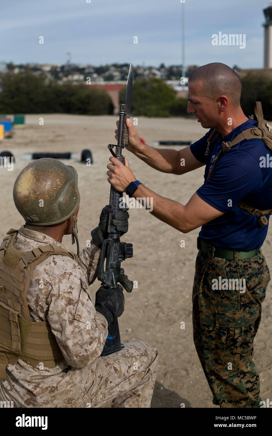 Bayonett assault course hi-res stock photography and images - Alamy