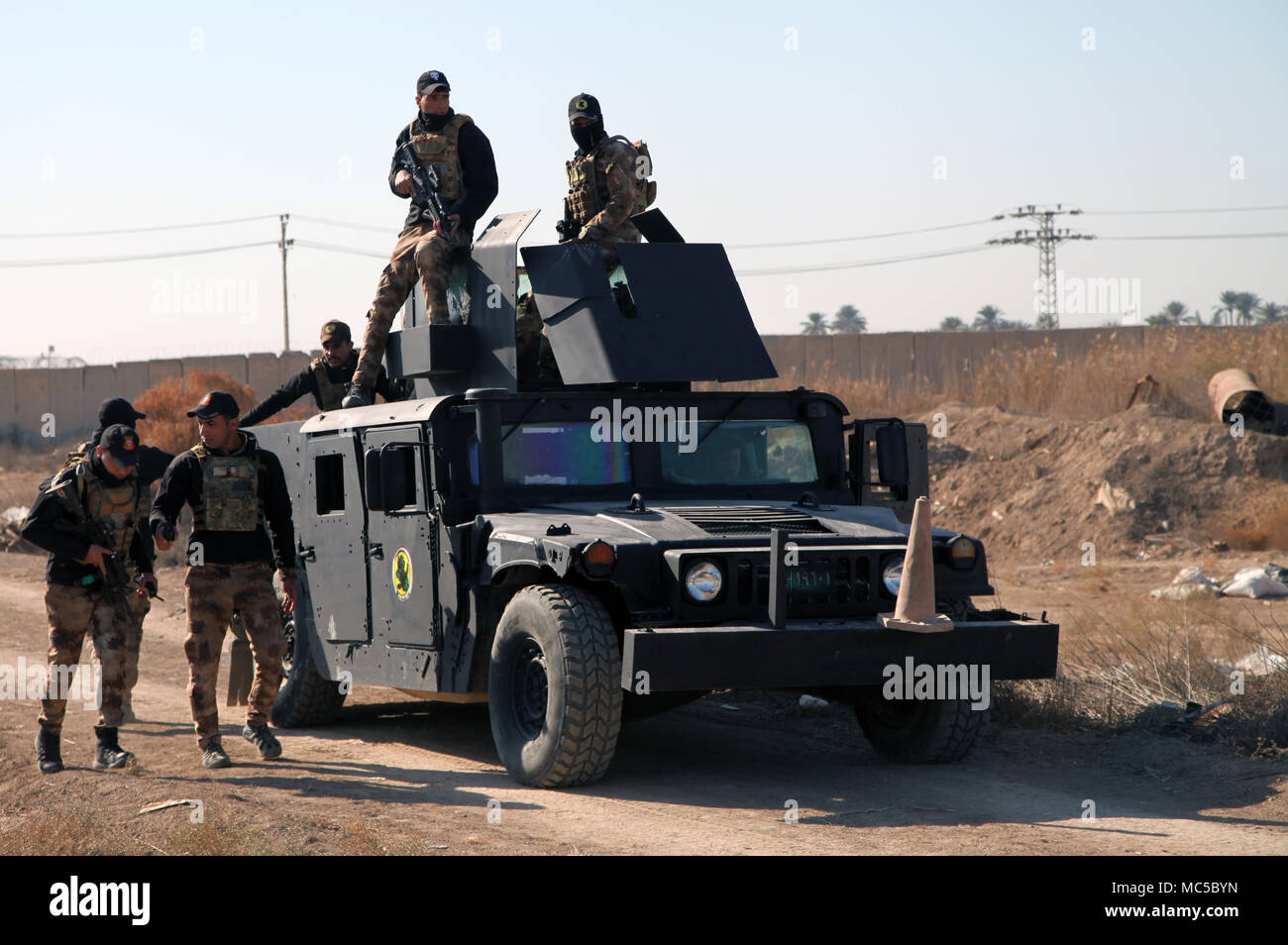 Iraqi Cts High Resolution Stock Photography and Images - Alamy