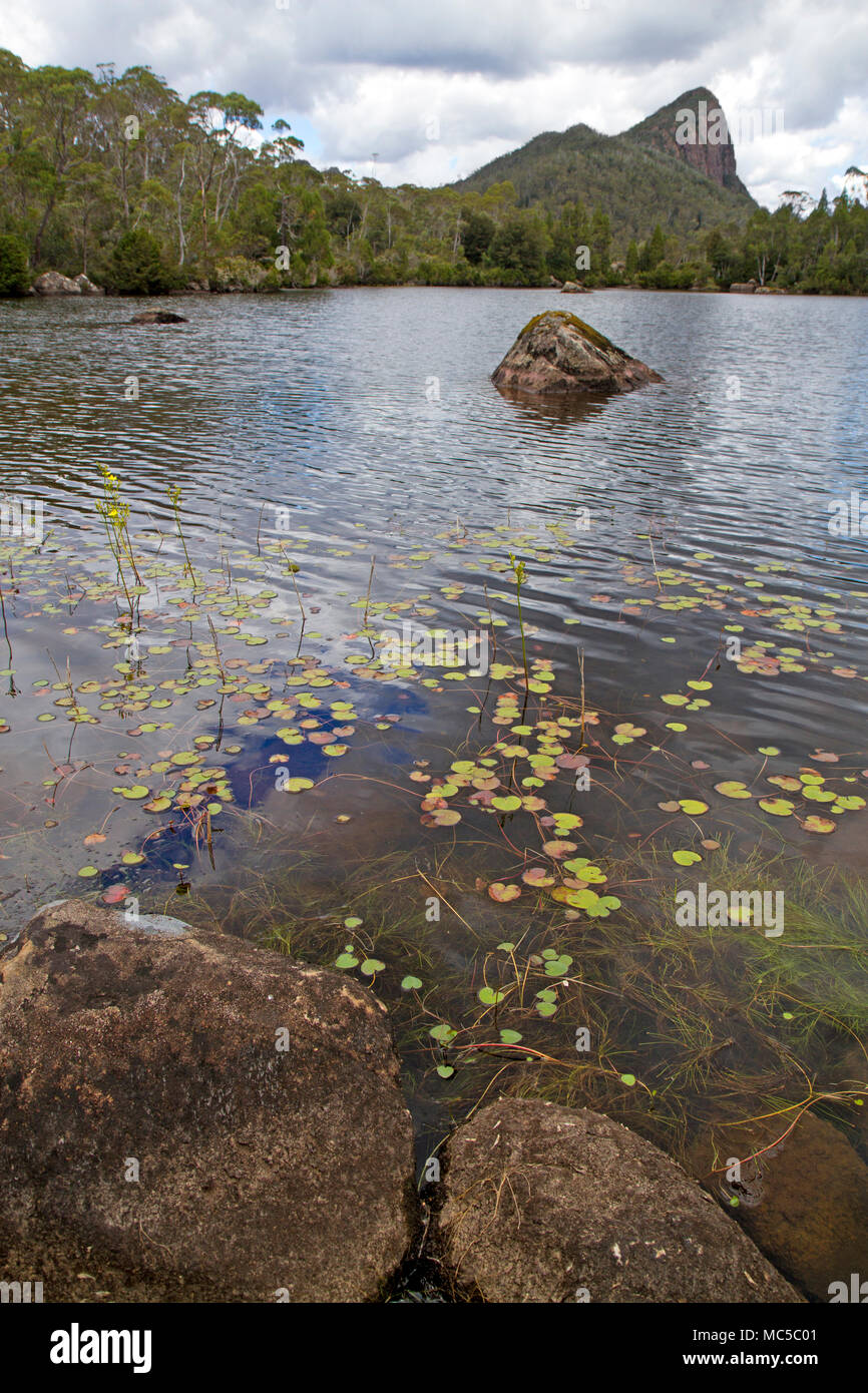 Pillinger High Resolution Stock Photography and Images - Alamy