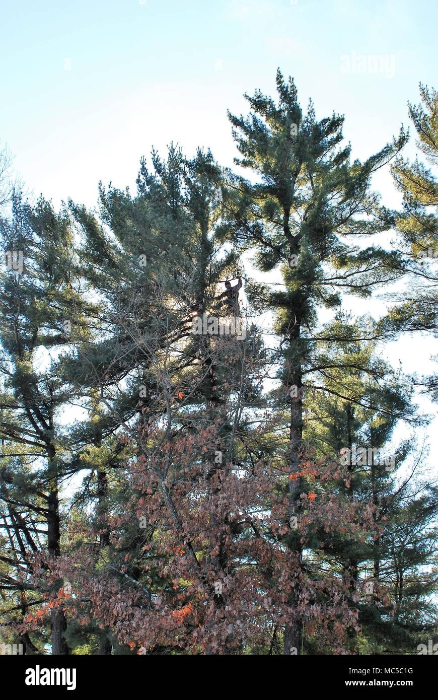 Calvin Swenson with contractor Viking Brothers Landscaping of Rubicon ...