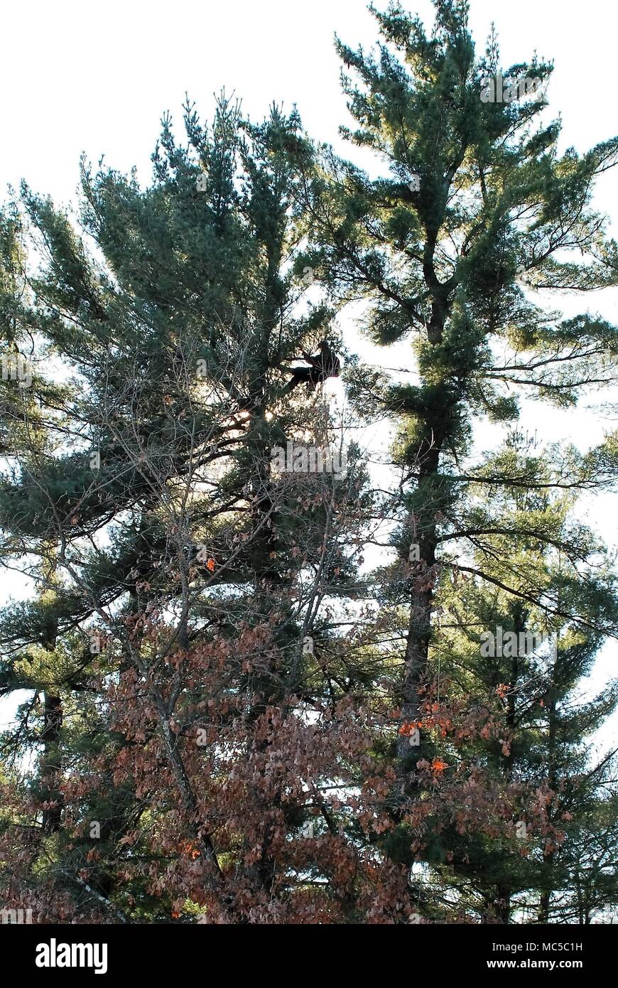 Calvin Swenson with contractor Viking Brothers Landscaping of Rubicon ...