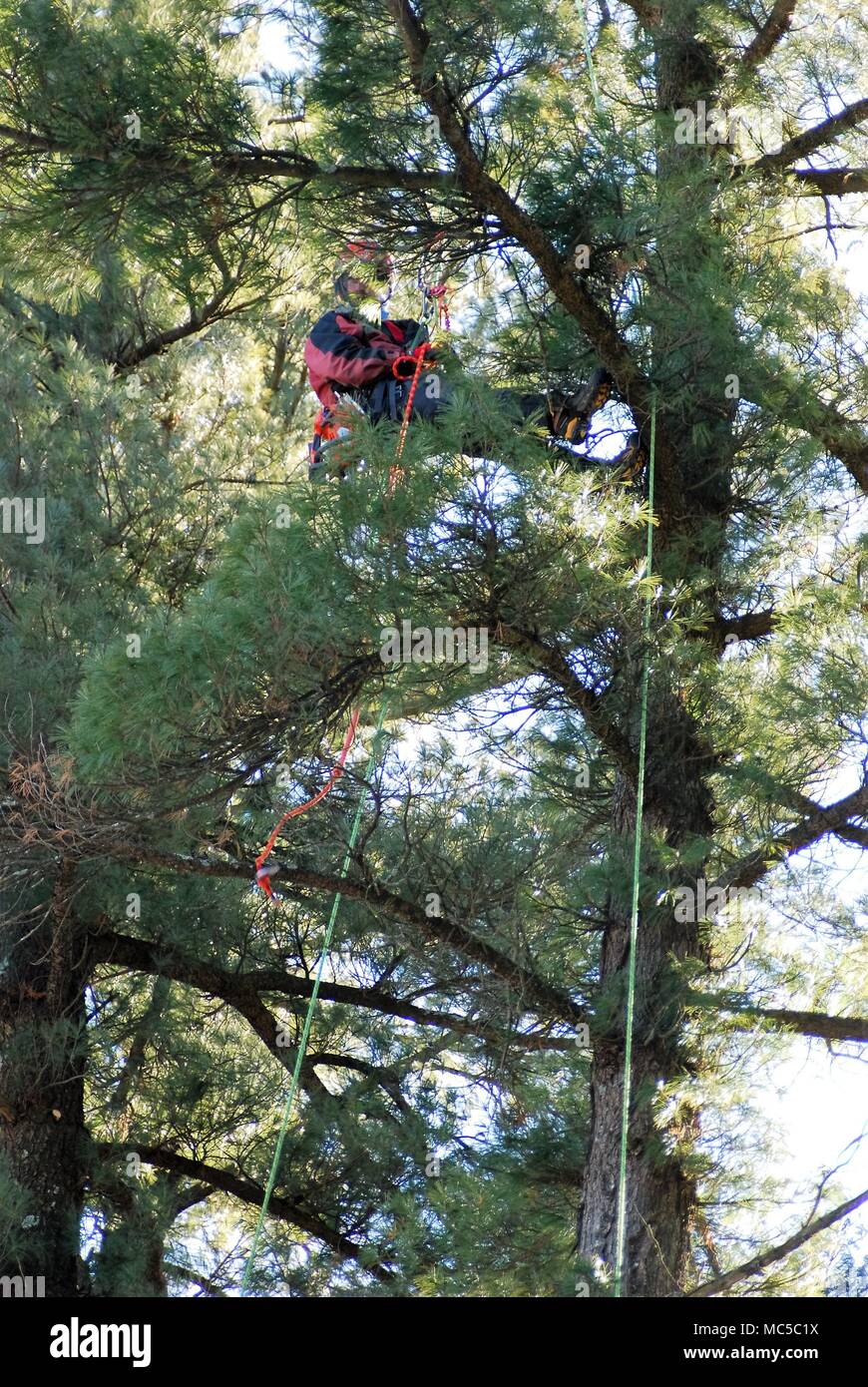 Calvin Swenson with contractor Viking Brothers Landscaping of Rubicon ...