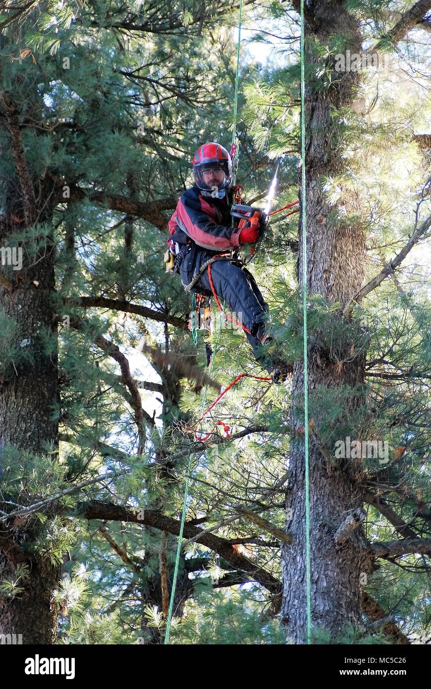 Calvin Swenson with contractor Viking Brothers Landscaping of Rubicon ...