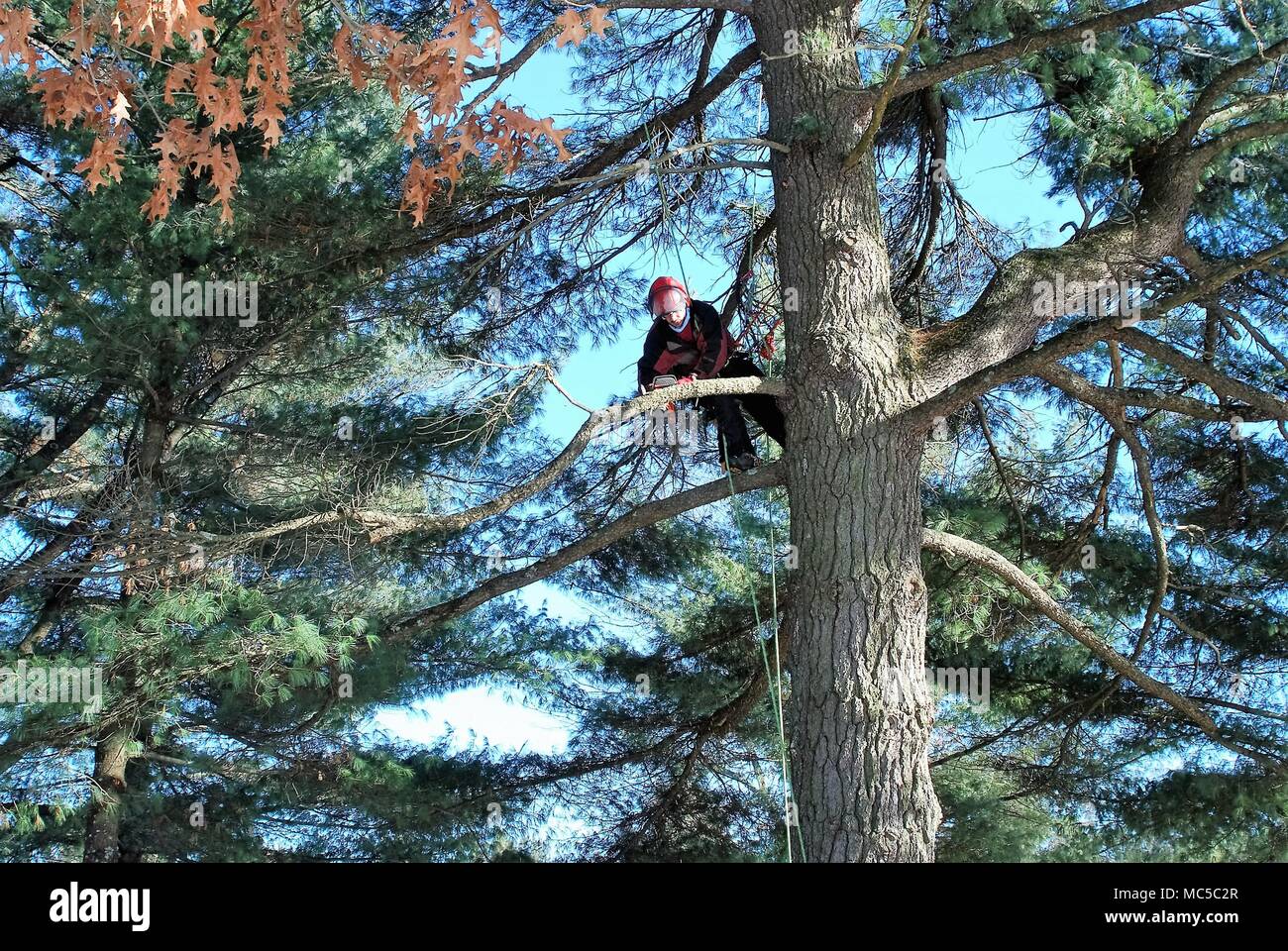 Calvin Swenson with contractor Viking Brothers Landscaping of Rubicon ...