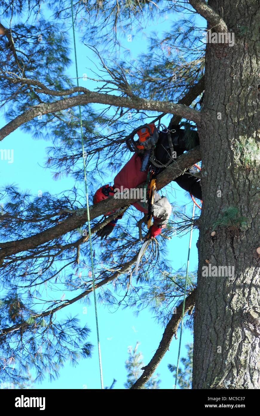 Calvin Swenson with contractor Viking Brothers Landscaping of Rubicon ...