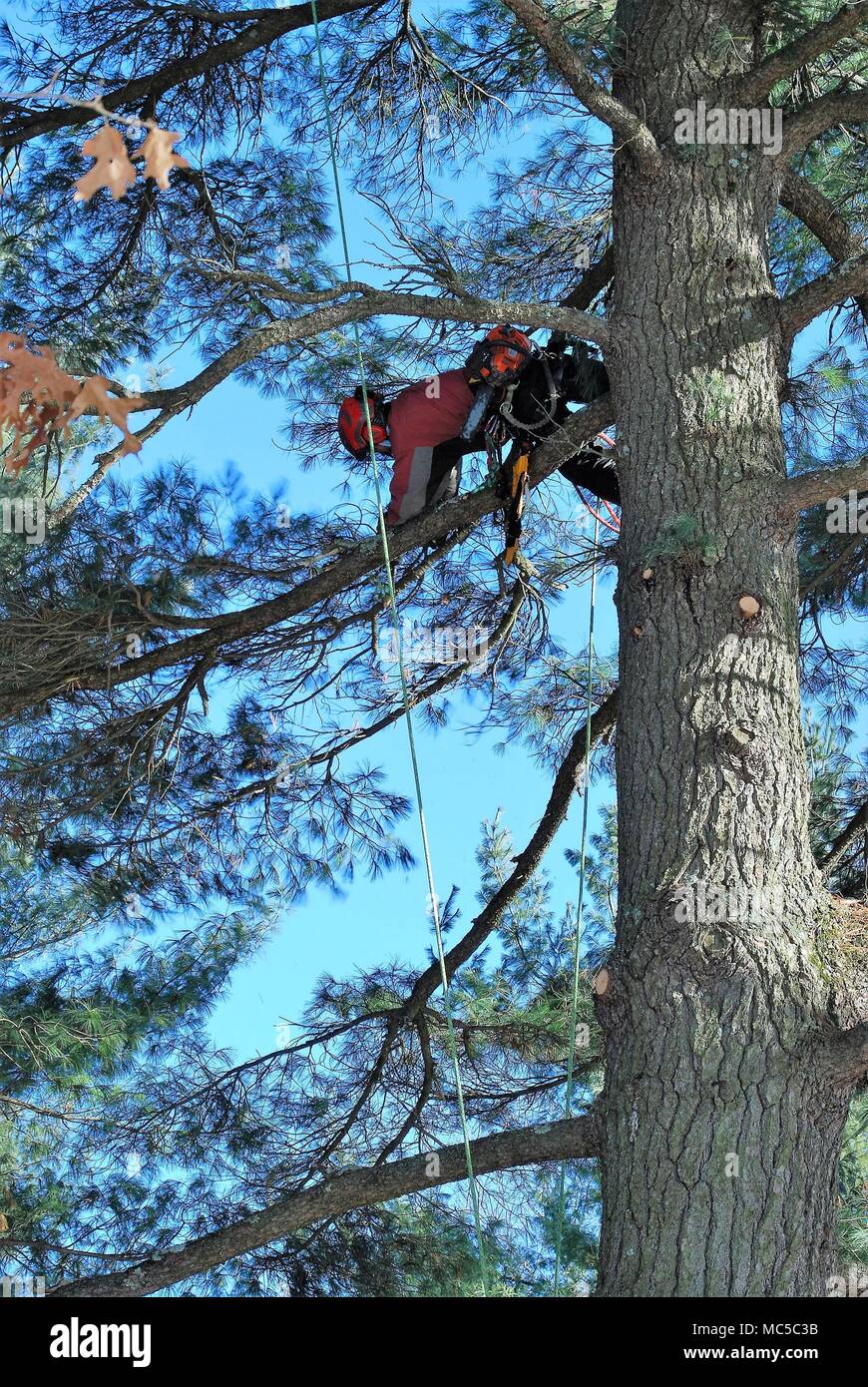 Calvin Swenson with contractor Viking Brothers Landscaping of Rubicon ...