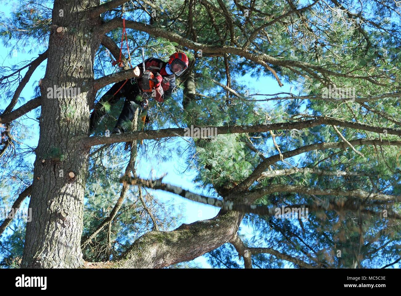 Calvin Swenson with contractor Viking Brothers Landscaping of Rubicon ...