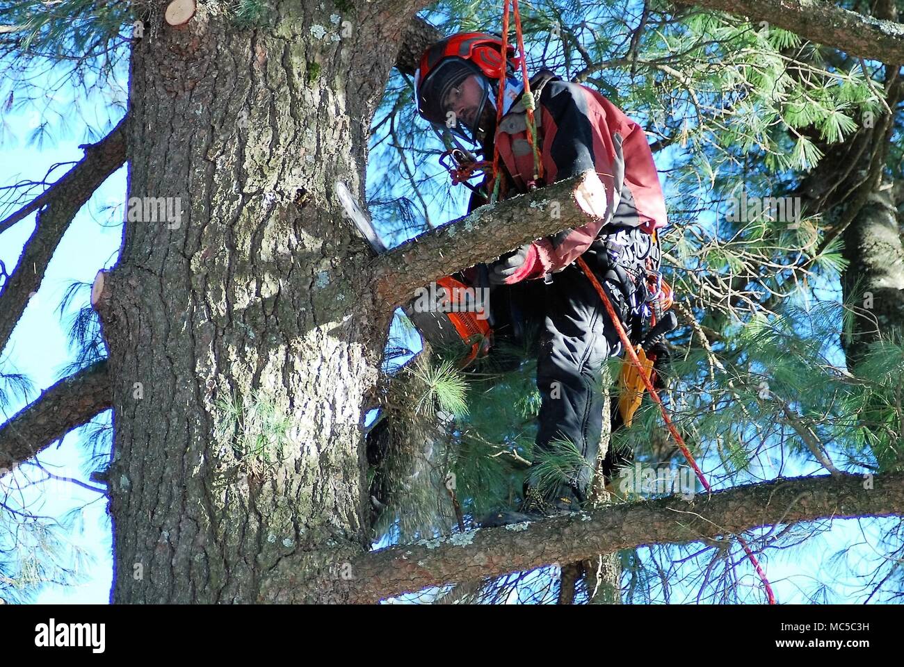 Calvin Swenson with contractor Viking Brothers Landscaping of Rubicon ...