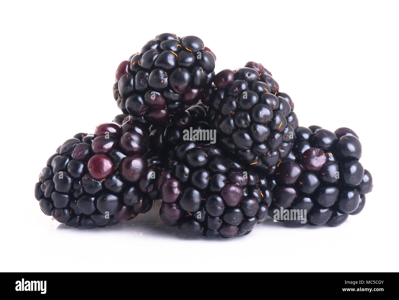 blackberry isolated on a white background Stock Photo - Alamy