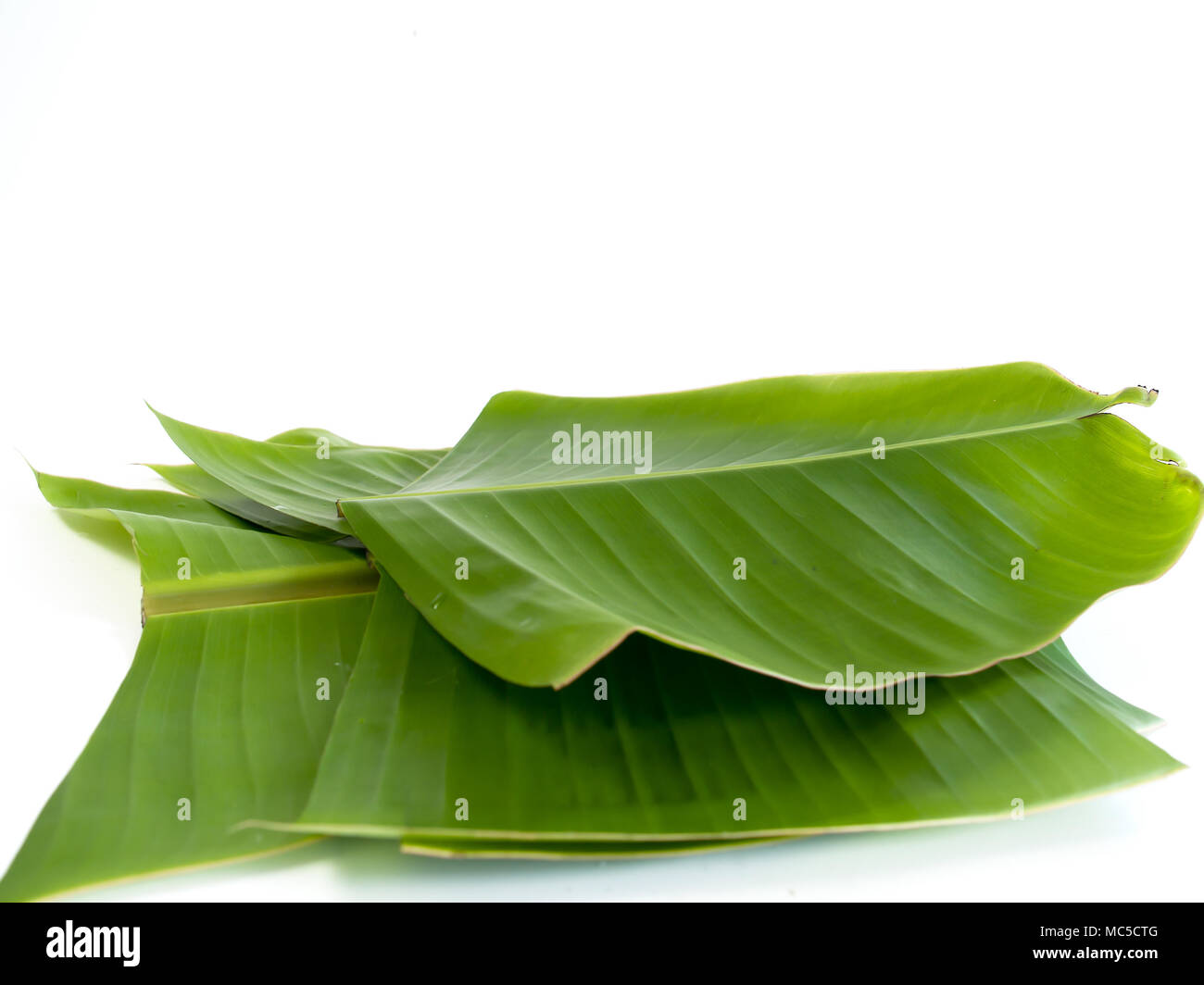 banana leaf ,The leaves of the banana tree We can bring out many ...