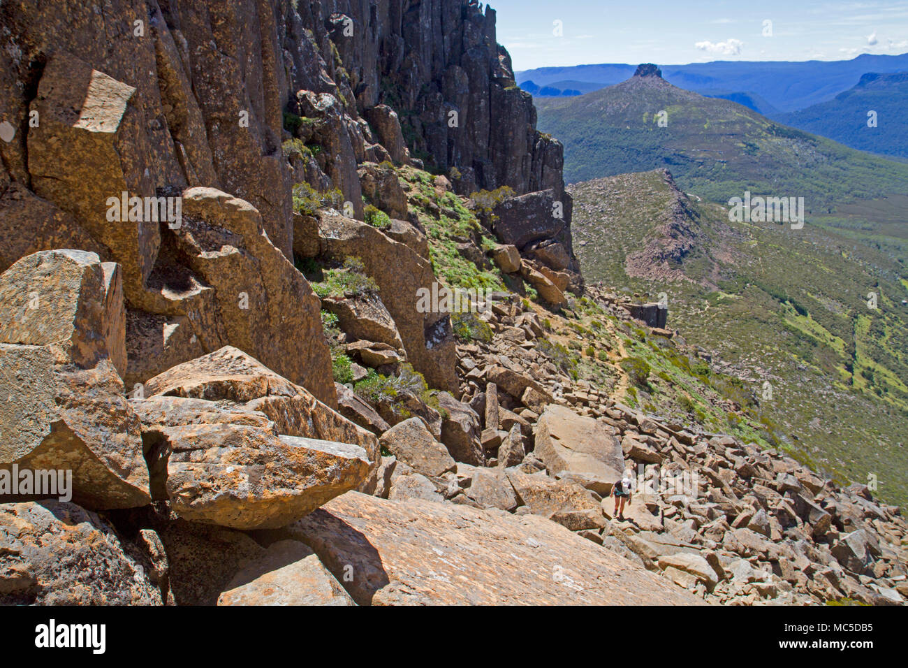 Hiker climbing Mt Ossa, Tasmania's highest mountain, from the Overland ...