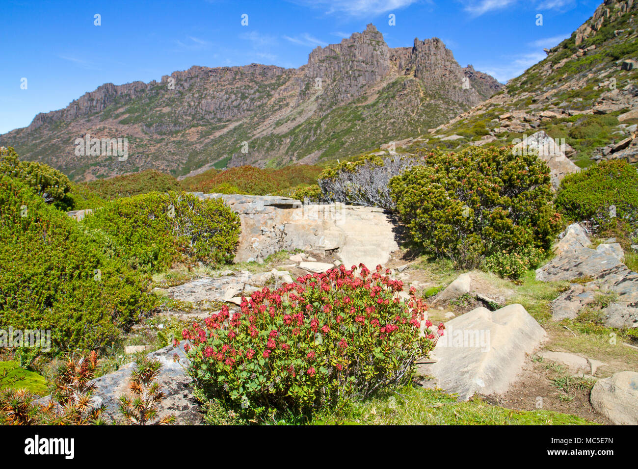 Mount ossa tasmania hi-res stock photography and images - Alamy