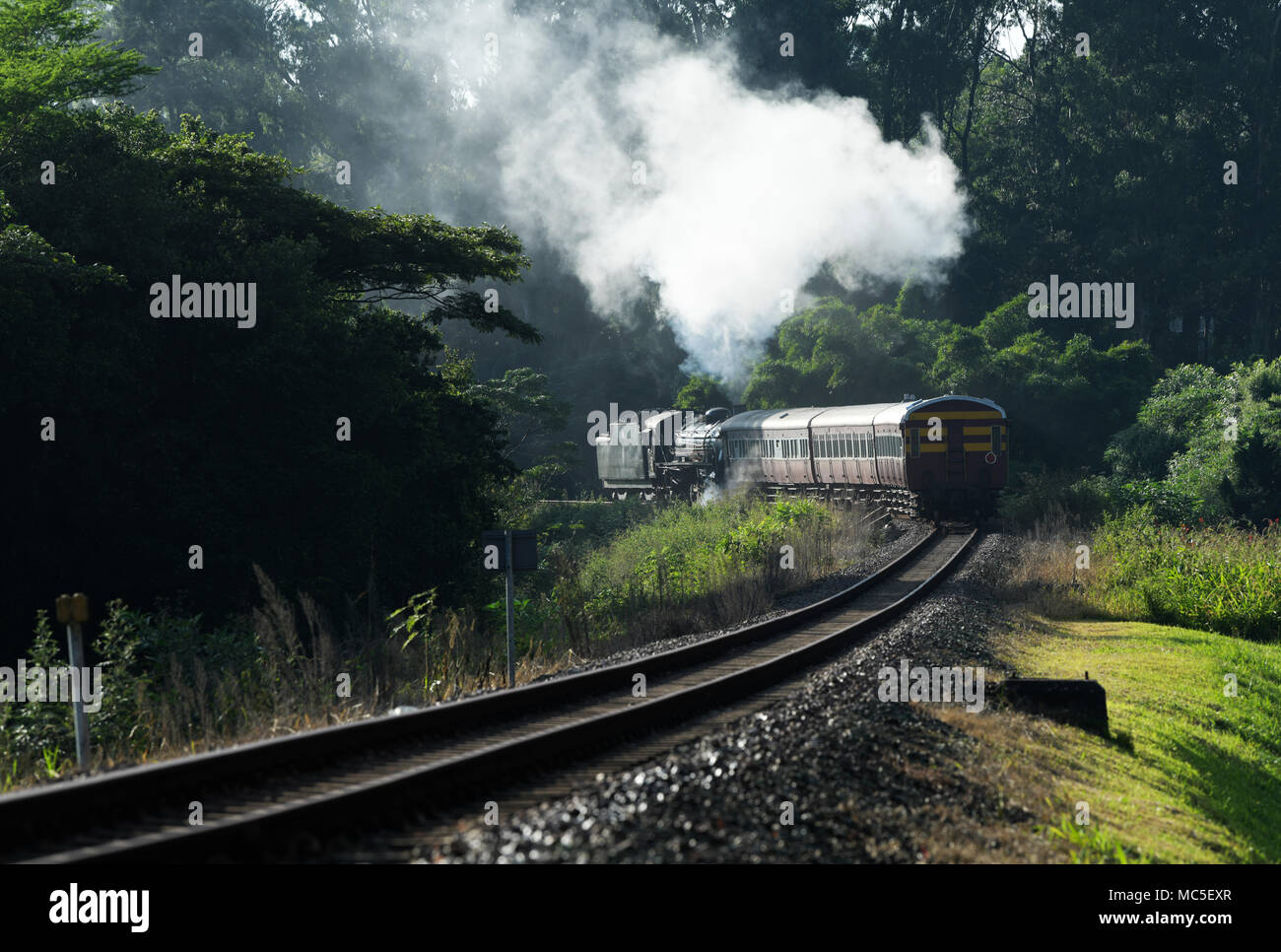 Durban, KwaZulu-Natal, South Africa, steam locomotive, Inchanga Choo ...