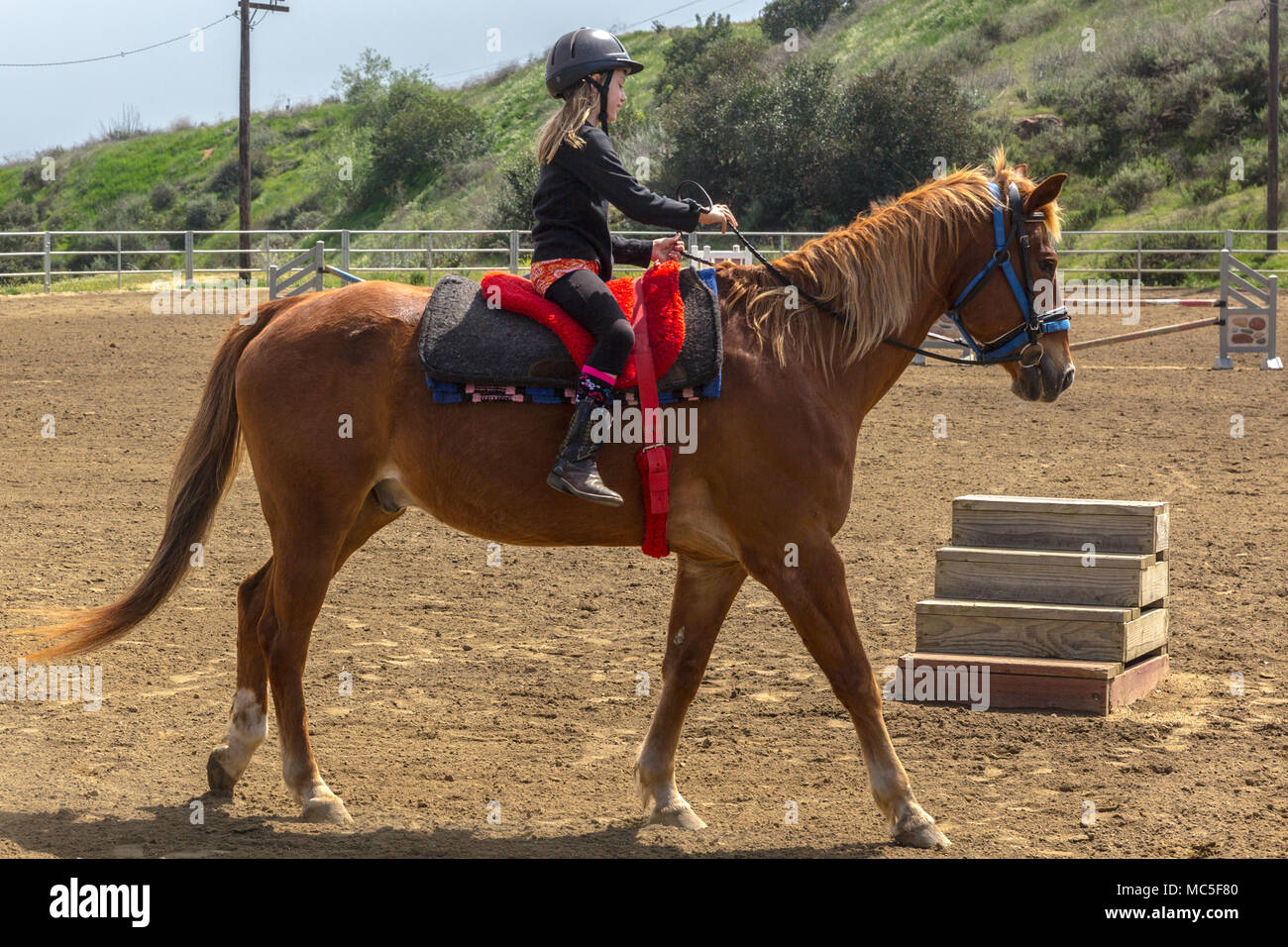 Stepp Stables High Resolution Stock Photography and Images - Alamy