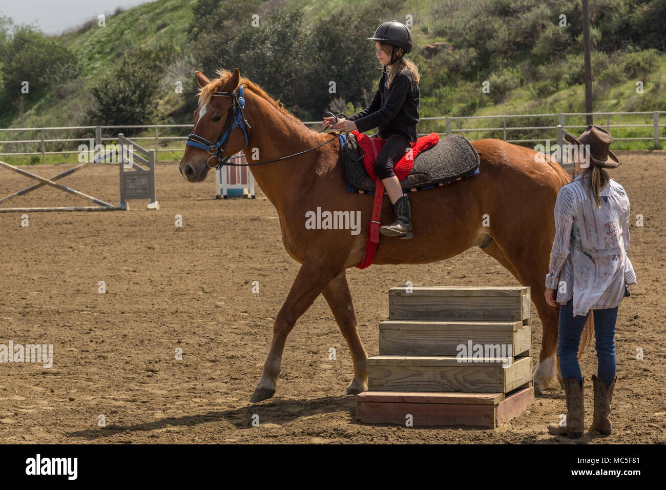 Stepp stables hi-res stock photography and images - Alamy