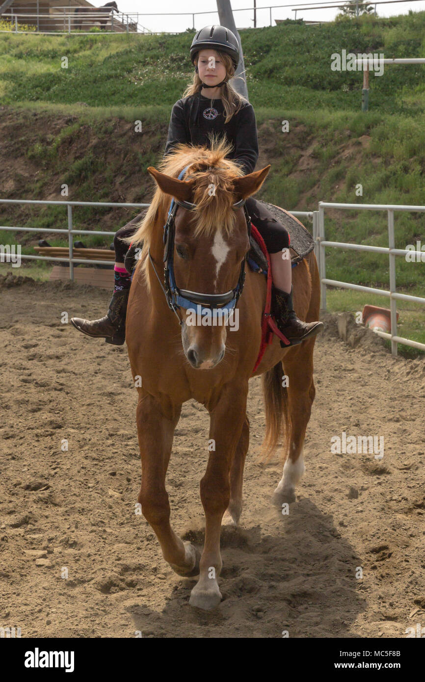 Stepp stables hi-res stock photography and images - Alamy
