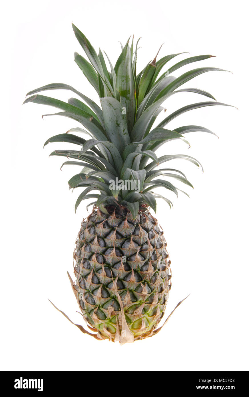 Seamless background dragon fruit Cut Out Stock Images & Pictures - Alamy