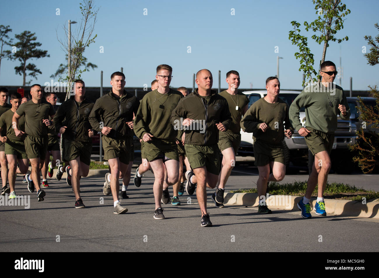 U.S Marines with 2nd Combat Engineer Battalion (2d CEB), 2nd Marine ...