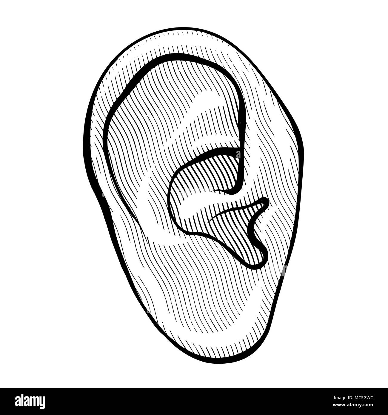 Etching face profile Cut Out Stock Images & Pictures - Alamy