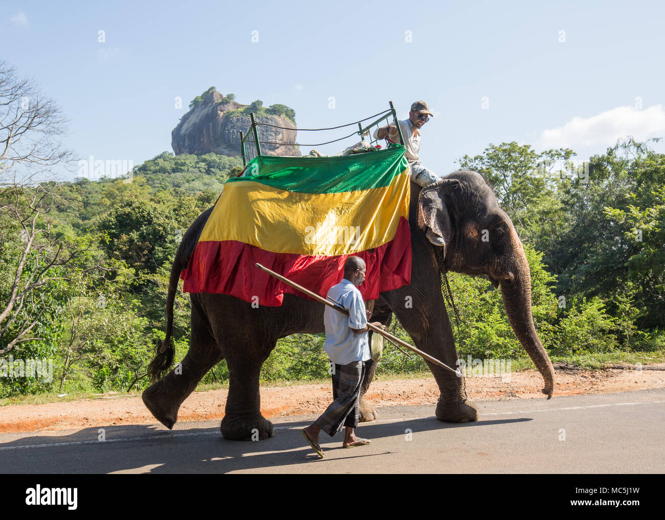 Sigiriya rock fortress elephant hi-res stock photography and images - Alamy