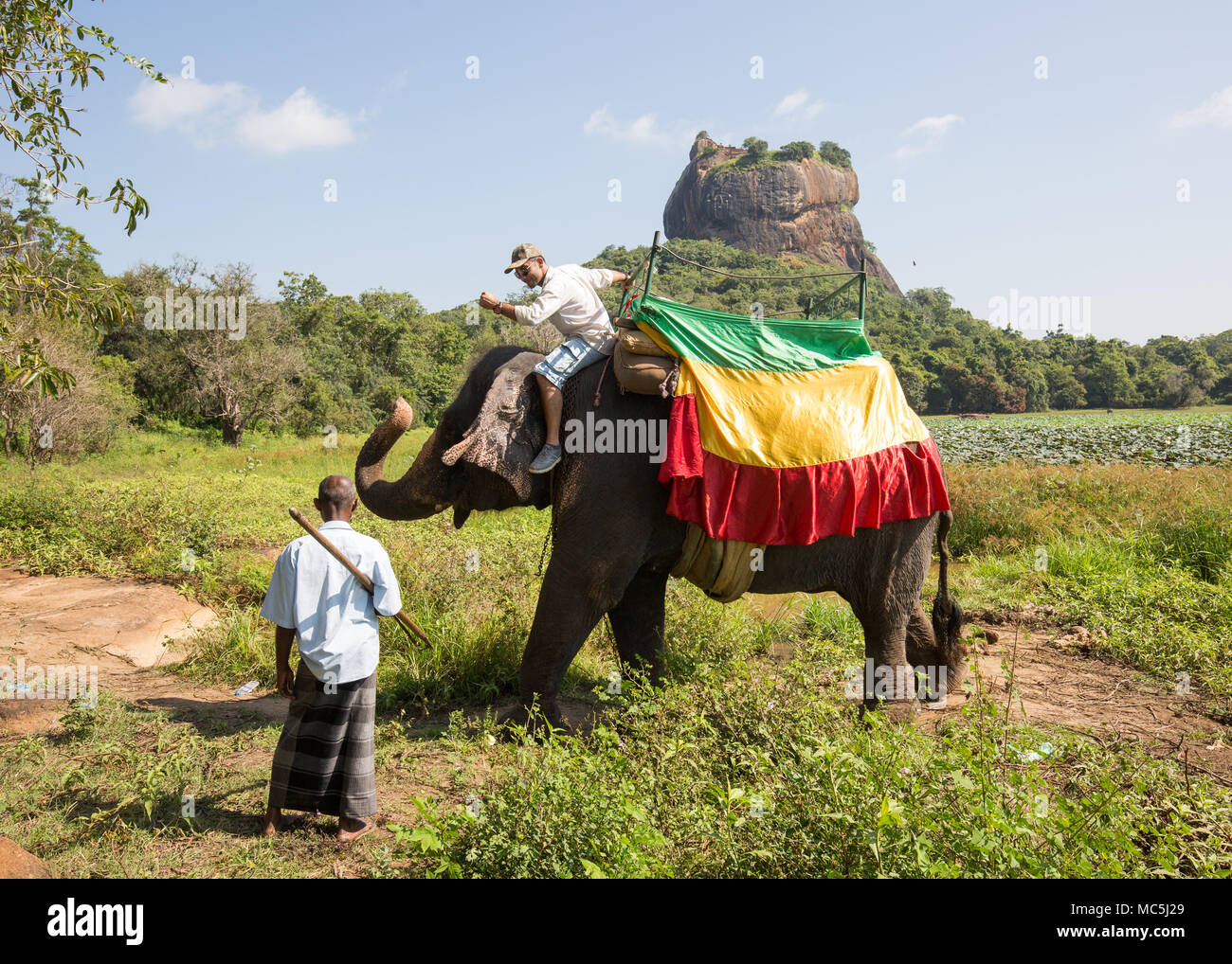 Man riding elephant hi-res stock photography and images - Alamy