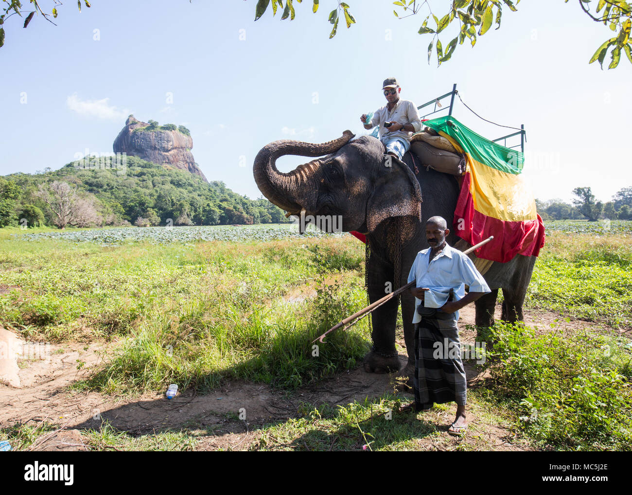 Man riding elephant hi-res stock photography and images - Alamy