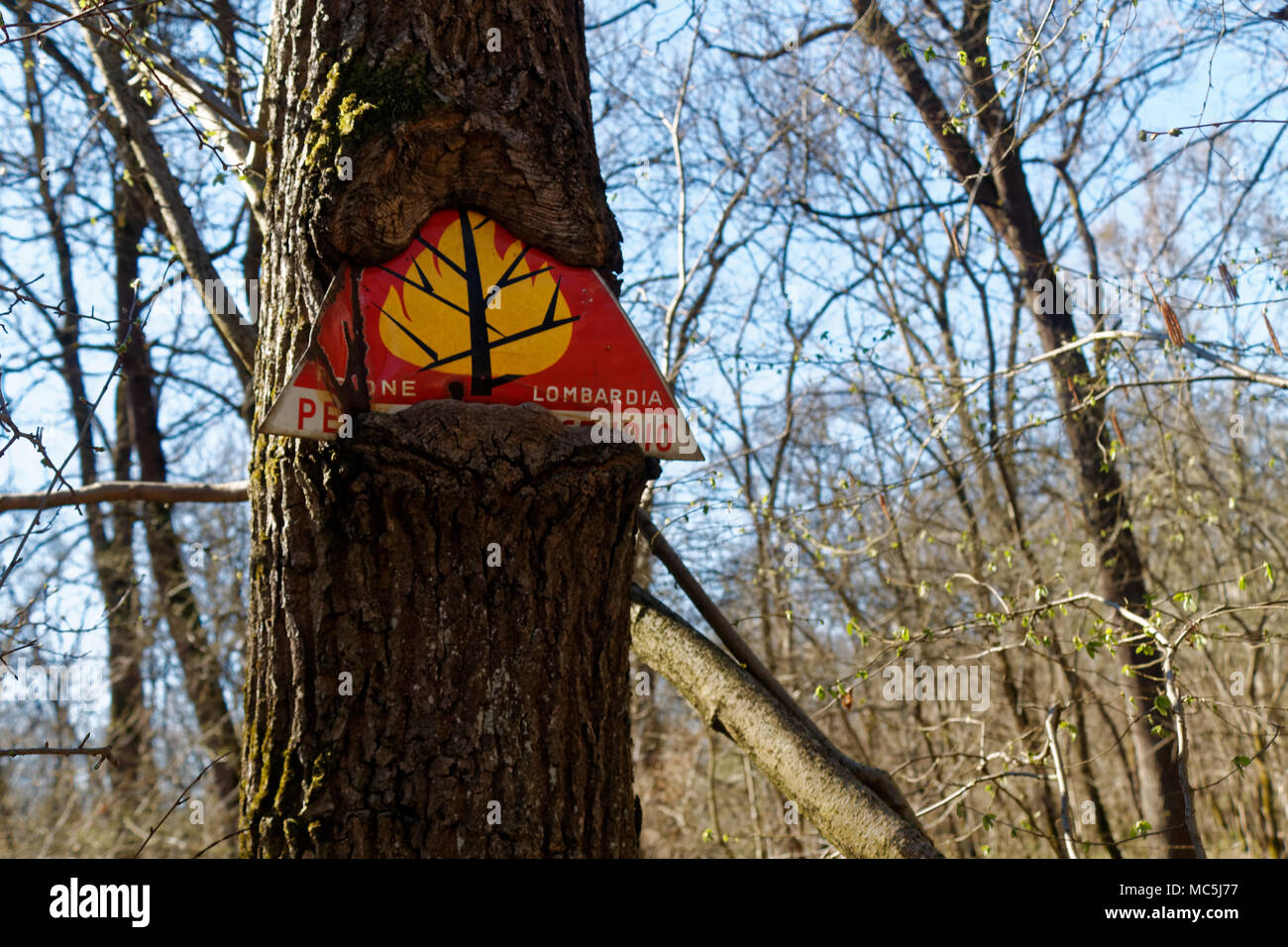 Danger sign about protection forest from the fire grew into a tree in ...