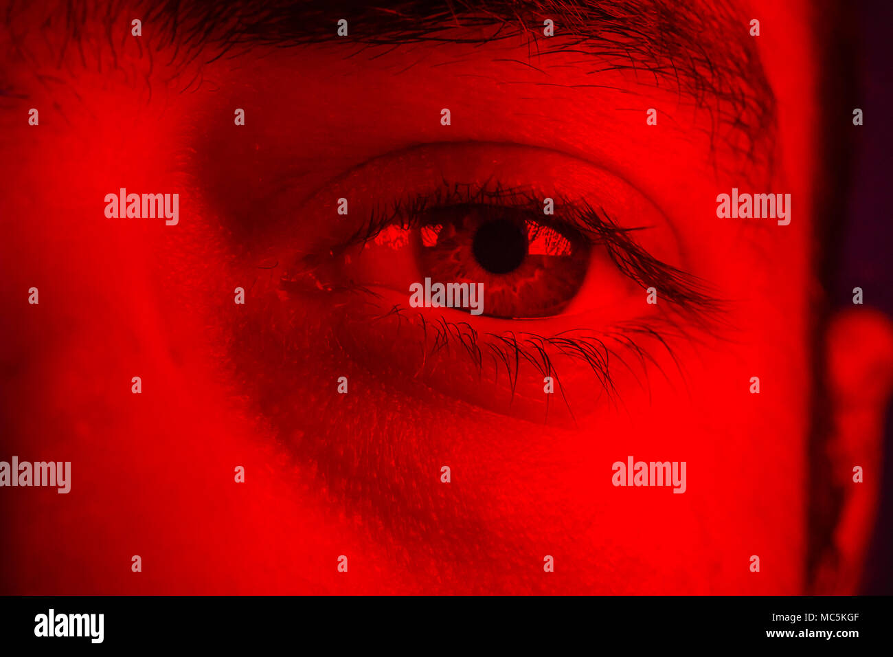 Macro on man eye expressing serious and expressionless expression Stock ...