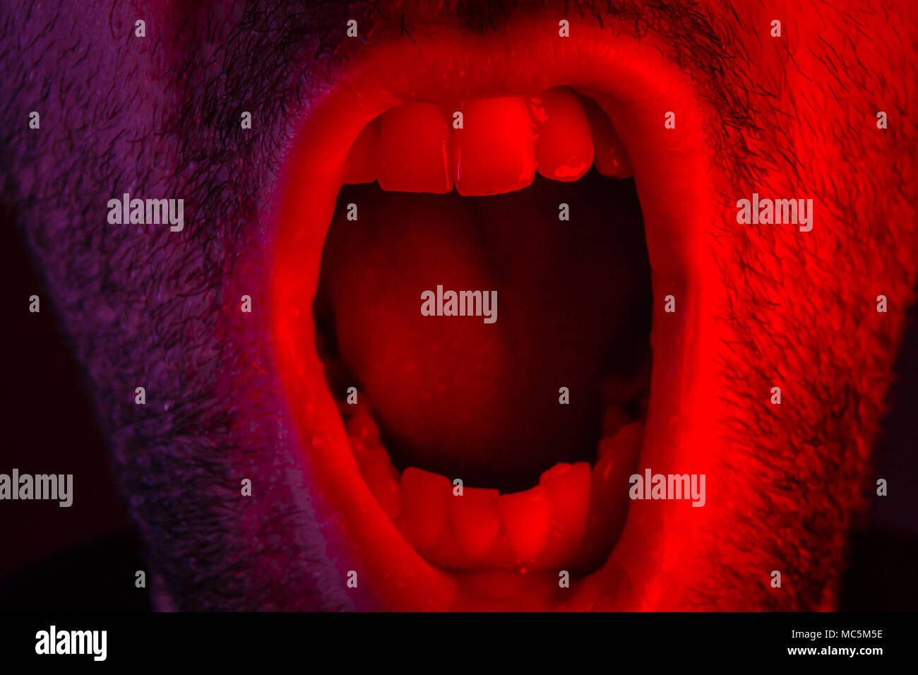 Macro closeup on man shouting with mouth wide open. Portrait with angry ...