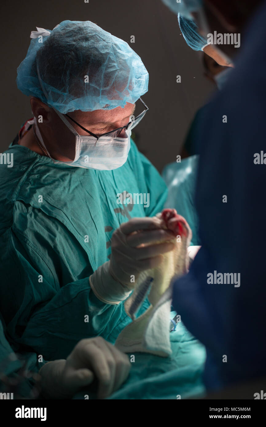 Inguinal hernia surgery hi-res stock photography and images - Alamy
