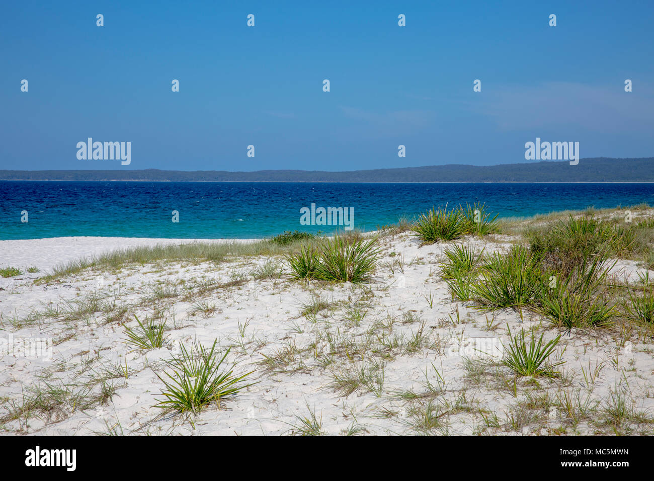 Greenfield beach australia hi-res stock photography and images - Alamy