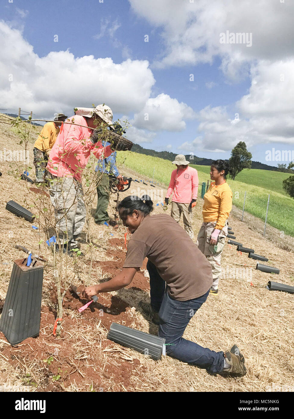 Personnel from the Army's ONRP return native plants to their natural ...