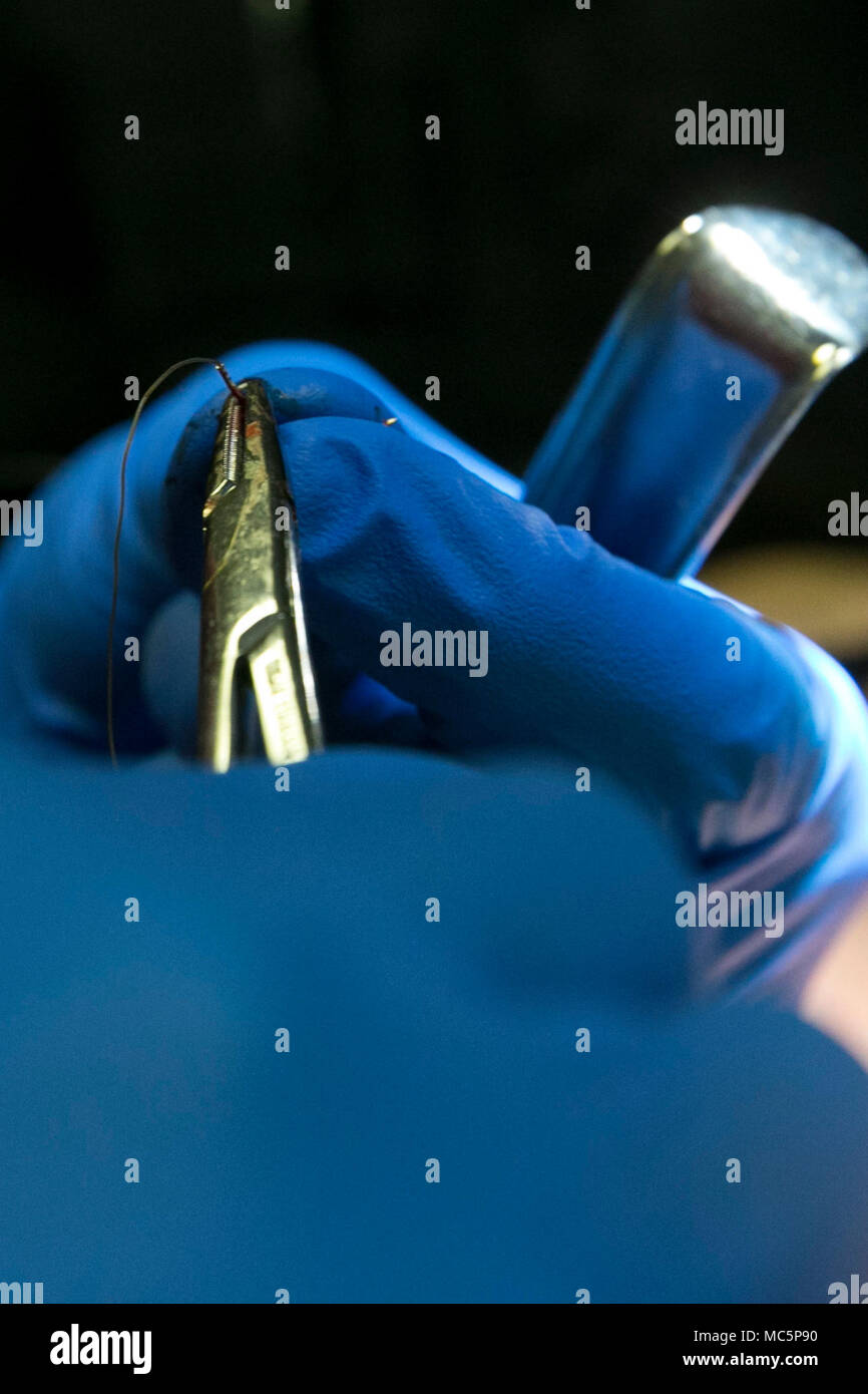 Lt. Nick Crossland, the 31st Marine Expeditionary Unit’s dental officer ...