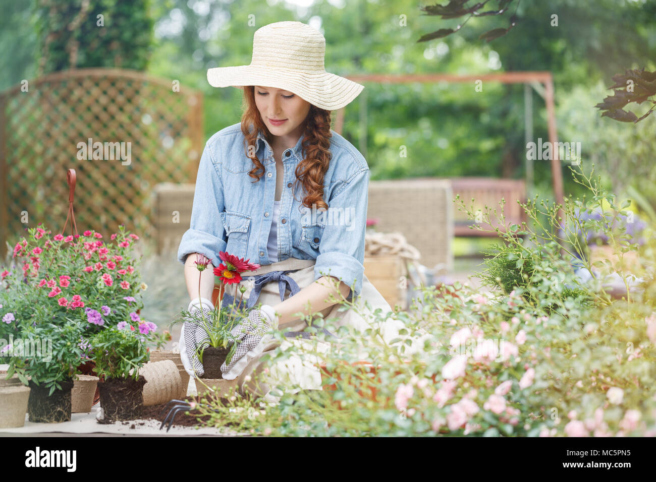 Woman planting summer container hi-res stock photography and images - Alamy