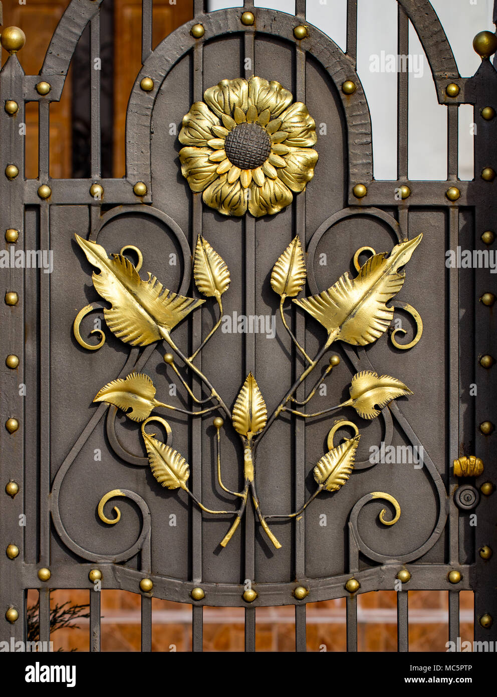 Details, structure and ornaments of forged iron gate. Floral decorative ...