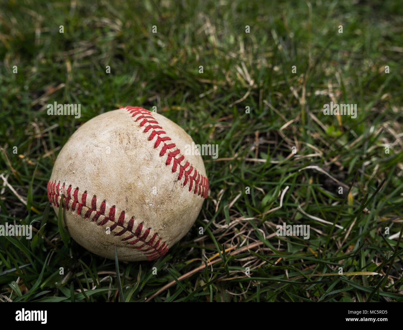 White Baseball Leather Texture