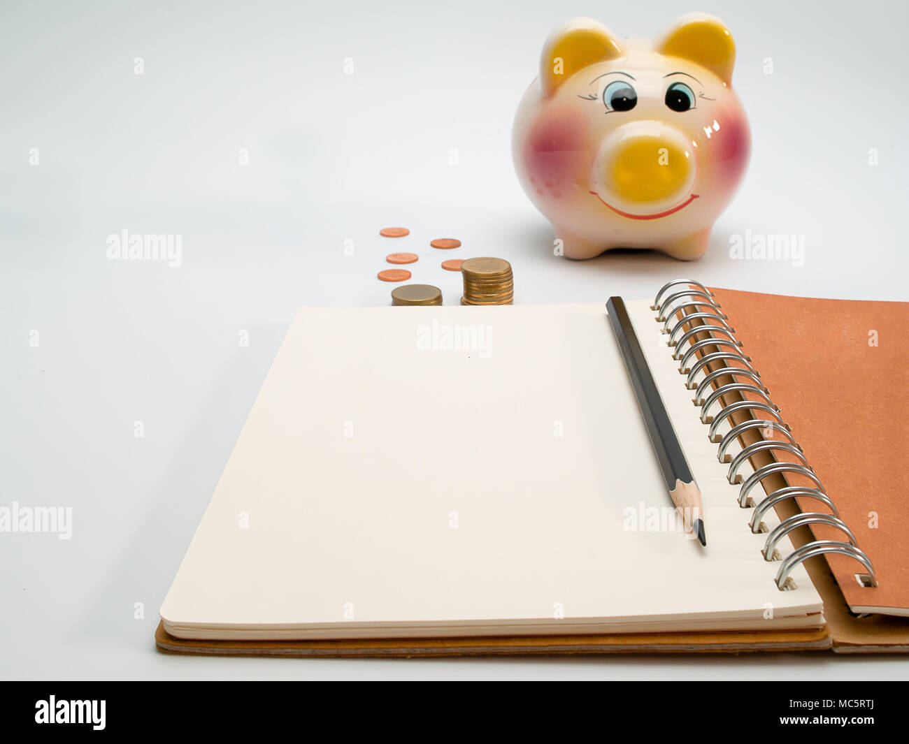 Diary , To calculate the daily cost , Placed on a white background ...